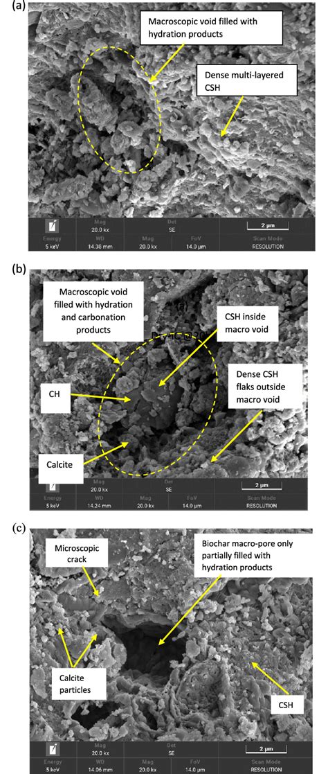 Microstructure Of Matrix Regions Around Macroscopic Air Void Or Biochar Download Scientific