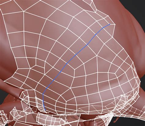 Loops Unhandled Exception While Sliding Issue CGCookie Retopoflow GitHub