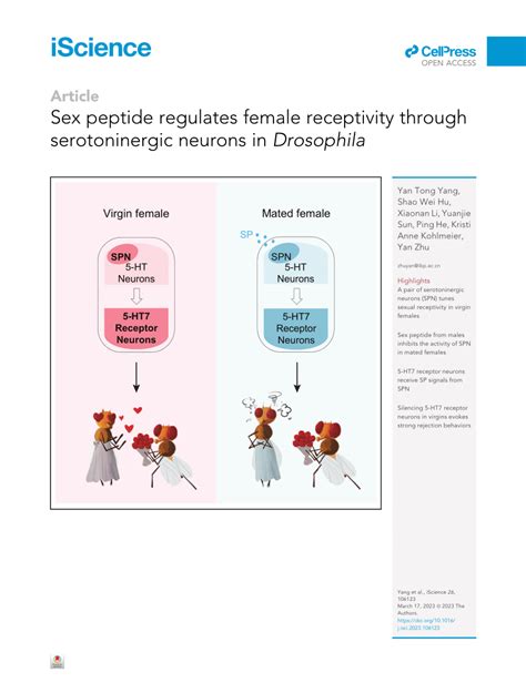 Pdf Sex Peptide Regulates Female Receptivity Through Serotoninergic