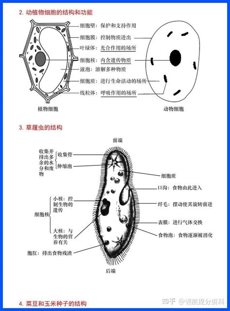 初中生物识图题（超全版 答题模板（1） 知乎