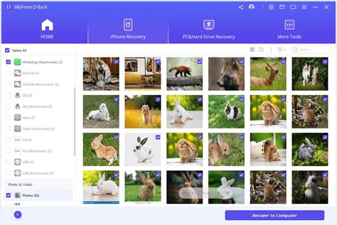 [official] Imyfone D Back® Best Iphone Data Recovery Software Ios Data Recovery App