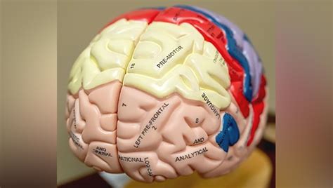 The Military Health System A Medical System Ready For Any Challenge