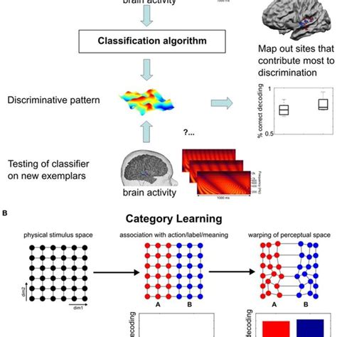 Functional Mri Pattern Decoding And Rationale For Its Application In