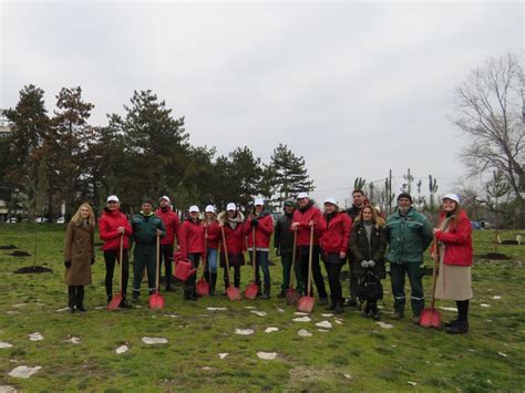 Почетна ЈКП Зеленило Београд