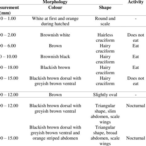 Detail Diagram Of T Rufivena Life Cycle Download Table