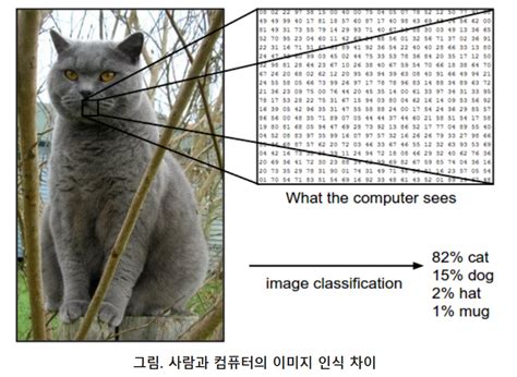 컴퓨터 비전 Classification Object Detection Image Segmentation Visual Relationship