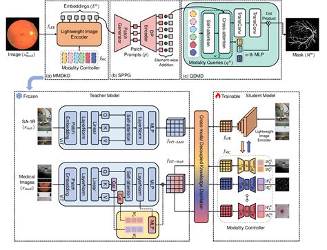 Esp Medsam Efficient Self Prompting Sam For Universal Domain