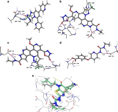 Binding Mode Of Compounds A 19 B 44 C 45 And D 46 In The