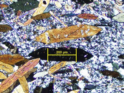 Amphibole Thin Section Xpl