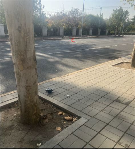 Test Report Water Meter Application Lorawan® Range