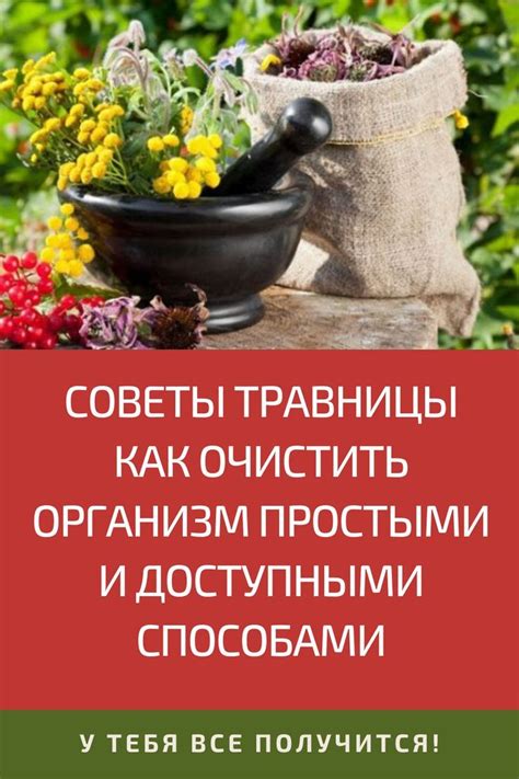 СОВЕТЫ ТРАВНИЦЫ КАК ОЧИСТИТЬ ОРГАНИЗМ ПРОСТЫМИ И ДОСТУПНЫМИ СПОСОБАМИ Garden Sculpture