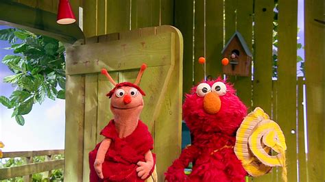 Elmo Will Bus Fahren Ndr De Fernsehen