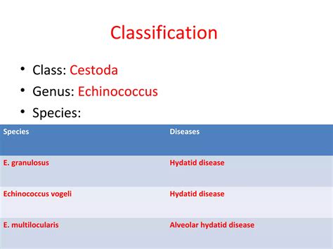 Echinococcus Granulosus Ppt