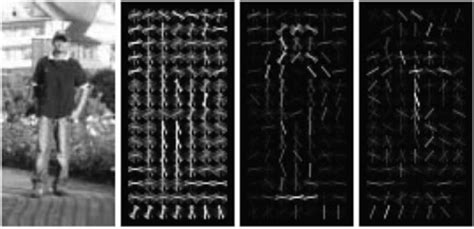 Linear Svm Classifiers Can Help Us To Visualize The Aspects Of The Hog Download Scientific
