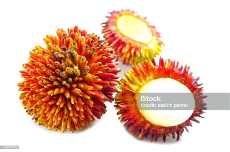 미리보기 네펠륨 피그모데온 또는 네펠륨 람부탄아케 흰색 배경에 격리 아시아 열대 국가에서 과일 개념에 대한 스톡 사진 및 기타 이미지 Istock