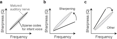 Table 1 From Examination Of Efficient Coding Model For Auditory Nerves
