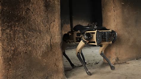 New Generation Security Robot Dogs Used In Police Raids
