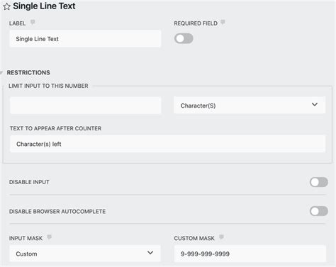 How To Use Input Mask In Your Contact Form Examples Ninja Forms