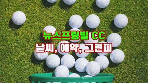 뉴스프링빌 Cc 날씨 예약 그린피 회원권 후기 코스소개 골프와 휴식을 한 번에 이천의 숨은 보석에서 즐기는 36홀 명품 골프 경험