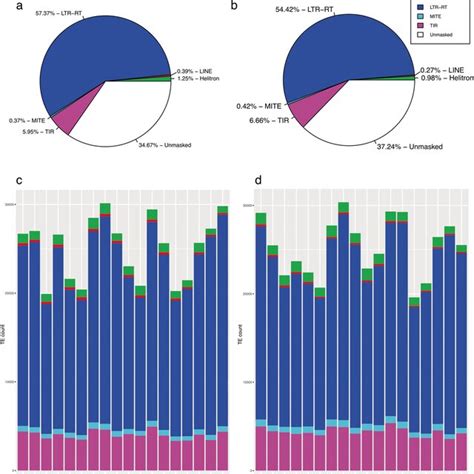 Illustrate The Proportion And Distribution Of Tes Across The