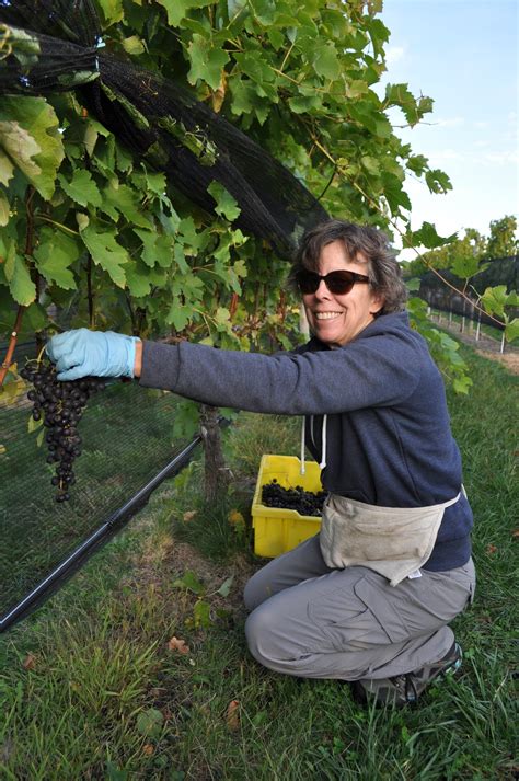 Movers And Makers Alice Wise Cce Of Suffolk County — Long Island