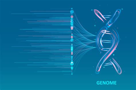 Big Genomic Data Visualization Royalty Free Vector Image