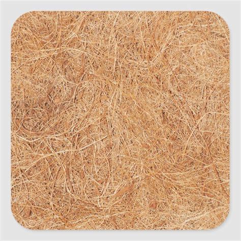 Coconut Texture Square Sticker Zazzle Coconut Texture Coconut Fiber