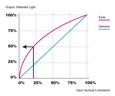 Accurate Gamma 22 And Pre Set 5 Gamma Settings