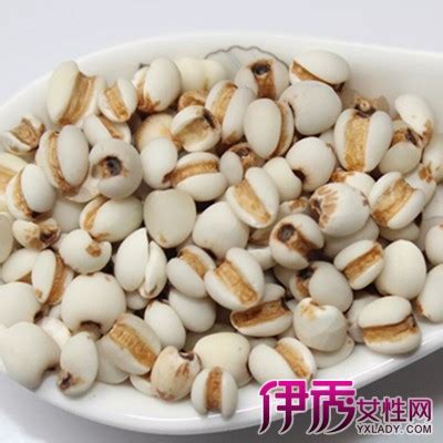 薏仁是薏米吗图揭秘薏仁是薏米吗 薏仁的膳食价值介绍 3 伊秀美食 yxlady