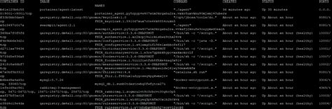 docker swarm manager node cannot access the containers in worker node