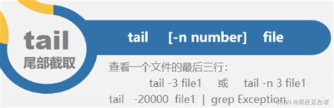 Linux命令200例：tail用来显示文件的末尾内容（常用）tail作用 Csdn博客