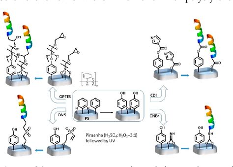 Figure 1 From Surface Functionalization Strategies Of Polystyrene For The Development Peptide