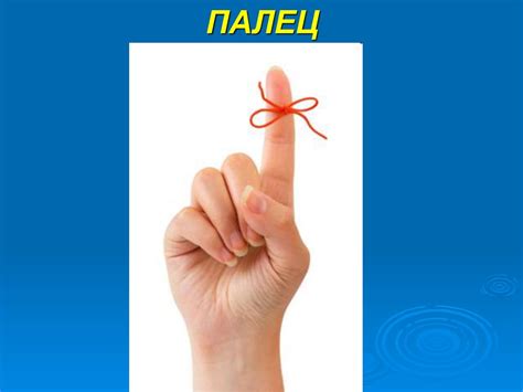 Дидактическая игра Знакомим детей с частями тела человека презентация онлайн