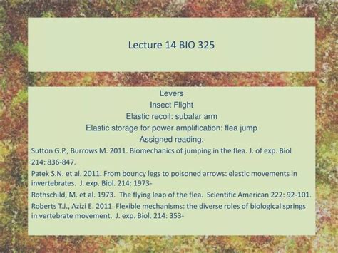 Ppt Lecture 14 Bio 325 Powerpoint Presentation Free Download Id 2321187