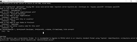 One Way Ssl In Mule 4