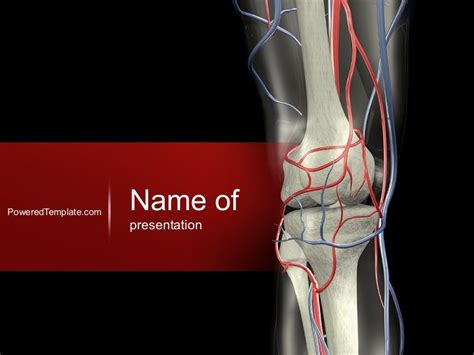 Knee Powerpoint Template