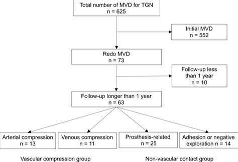 Participant Flow Diagram Mvd Microvascular Decompression Tgn Download Scientific Diagram