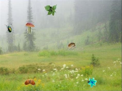 An Example Of Stimuli During Testing The Proactive Interference Effect