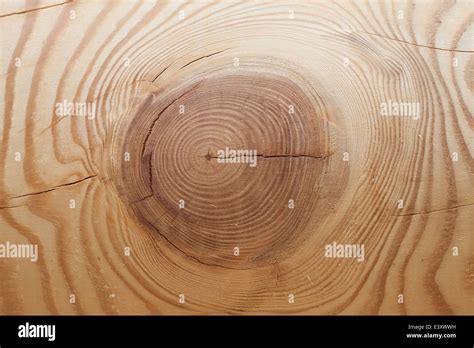Wood Log Natural Surface Pattern Texture Closeup Stock Photo Alamy