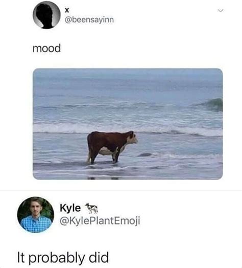 30 Of The Nerdiest Memes As Shared On This Facebook Page New Pics Bored Panda