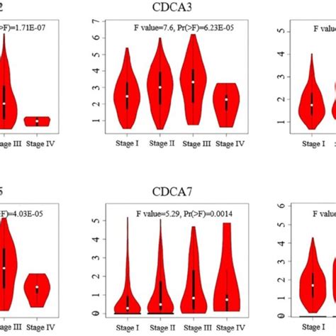 Rt Qpcranalysis Of The Expression Levels Of The Cdcas In Hepatocellular