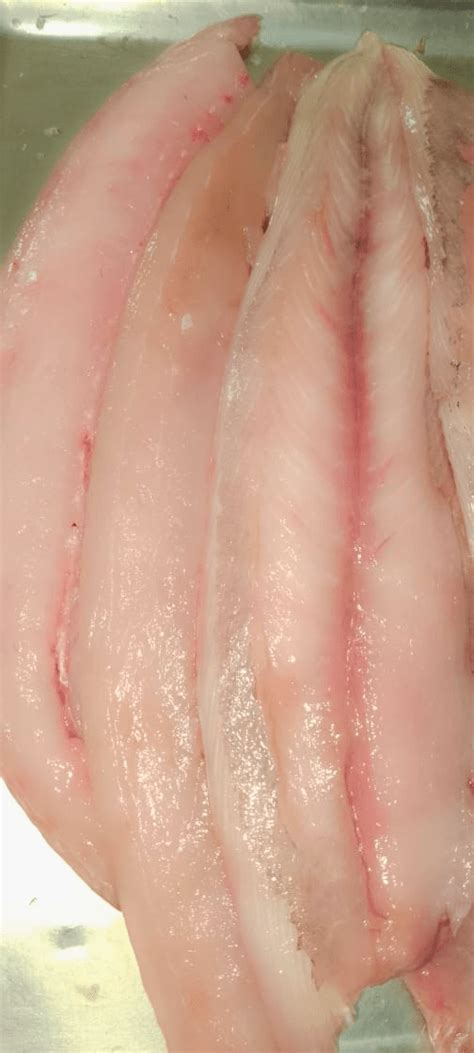 Grouper Fillet Emjay Sea Foods