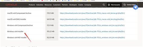 Jdk17下载及环境变量配置 知乎