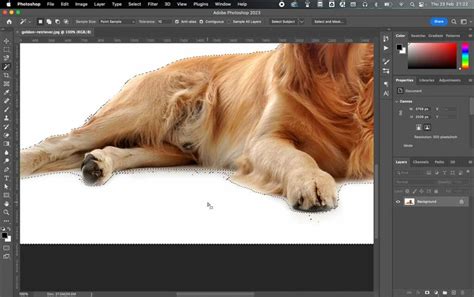 How To Convert To Transparent PNG In Photoshop CC Design With Dale