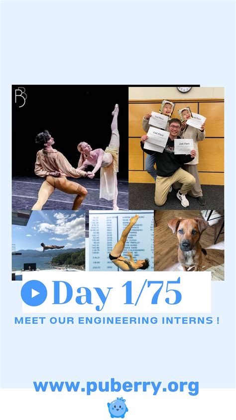 Meet Our Software Engineering Interns Puberry