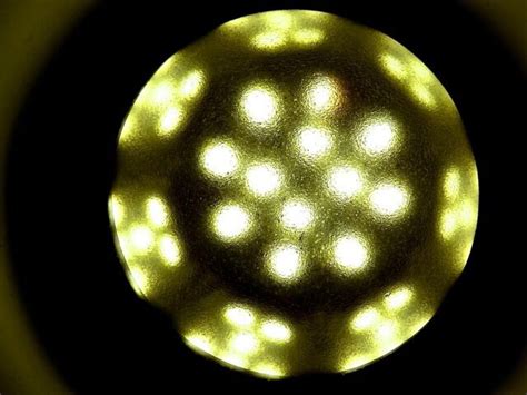 Noctiluca Cooperates With Taiwanese Oled Manufacturer