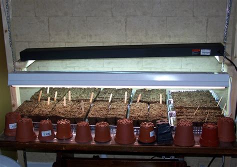 Captive Roots Seedling Table Setup