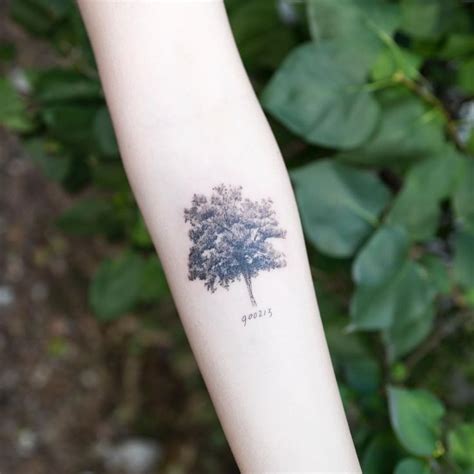 Tree I Hope You Would Have Full Of Good Memories In Korea Treetattoo
