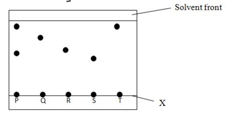 KCSE Prediction Questions And Answers KCSE Predictions