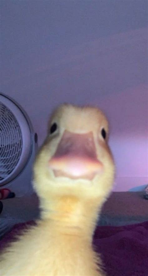 Pin By Amber Aro On Mha Fanart Boku No Hero Academia Funny Cute